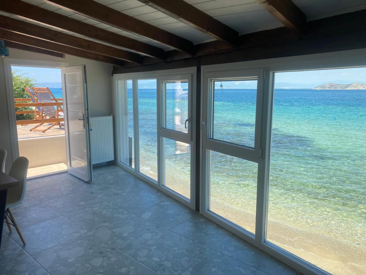 Cazare pe Plaja în Thassos: Cele Mai Bune Opțiuni! - Grecia de Weekend